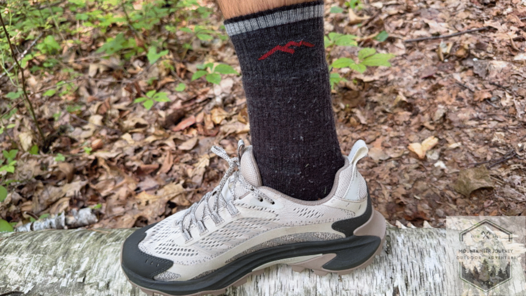 Merrell Moab Speed 2 Review | Worth It In 2026?